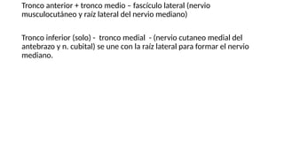 PLEXOBRAQUIALTRAUMATOLOGIA Y ORTOPEDIA.pptx