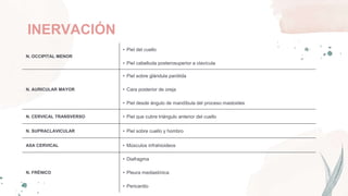 Plexo cervical.pptx