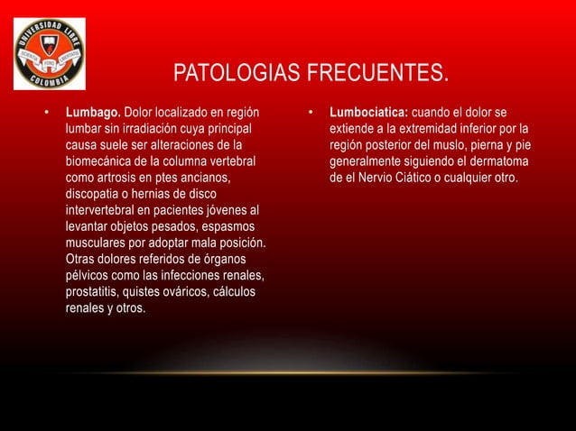 Plexo lumabr sacro y coccigeo. | PPTX
