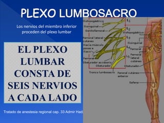 PLEXO LUMBOSACRO ANATOMIA.pptx