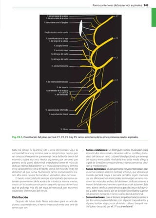 Plexos- capitulo 39.pdf