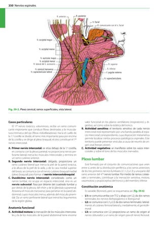 Plexos- capitulo 39.pdf