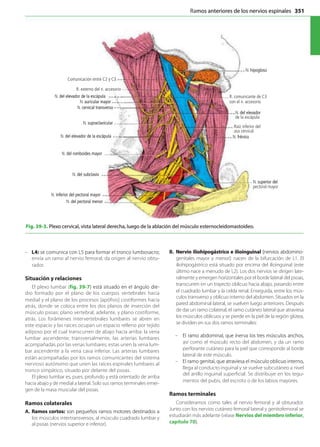 Plexos- capitulo 39.pdf