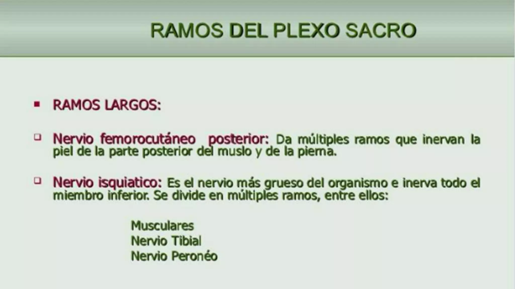 Plexo sacro | PPT