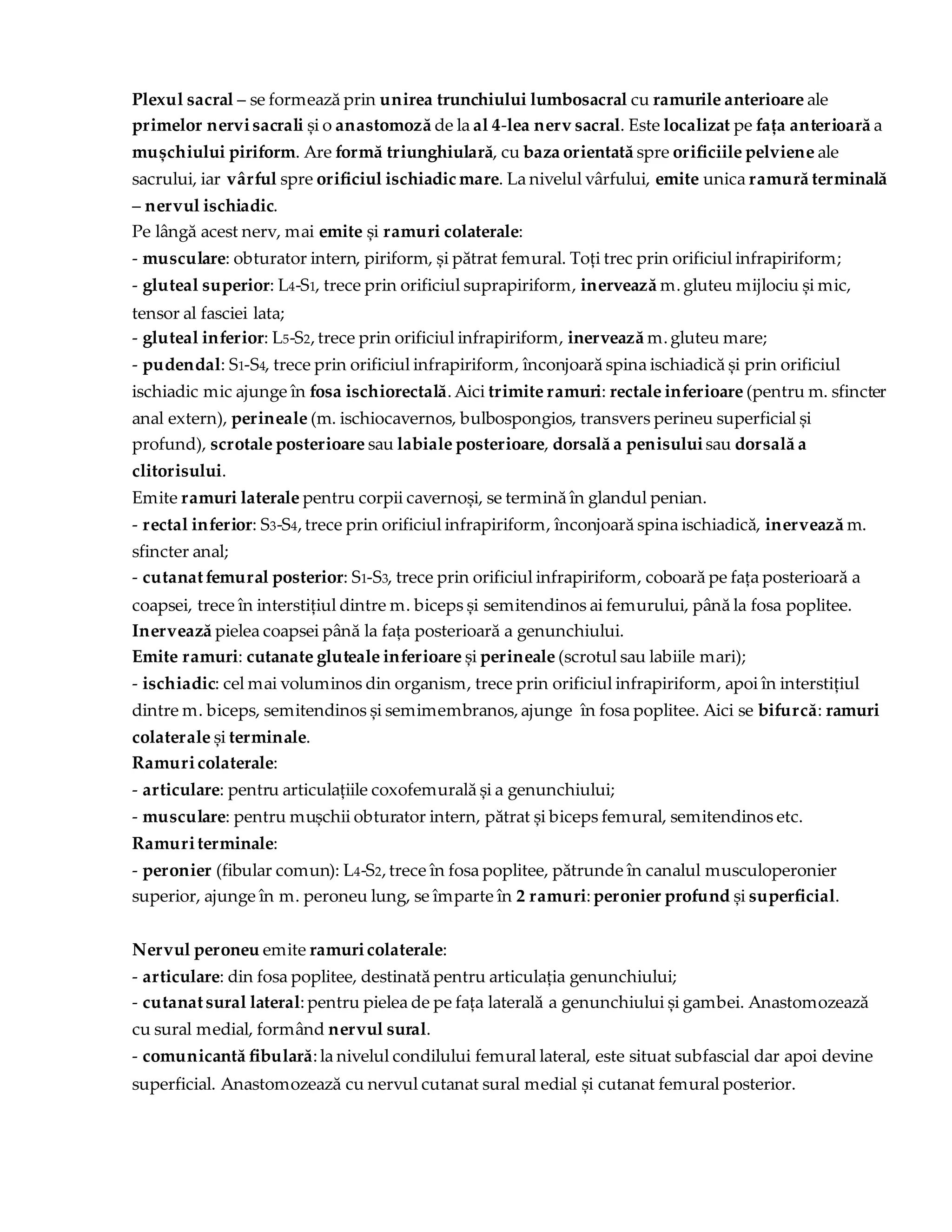 Anatomie: plexul sacral | DOCX