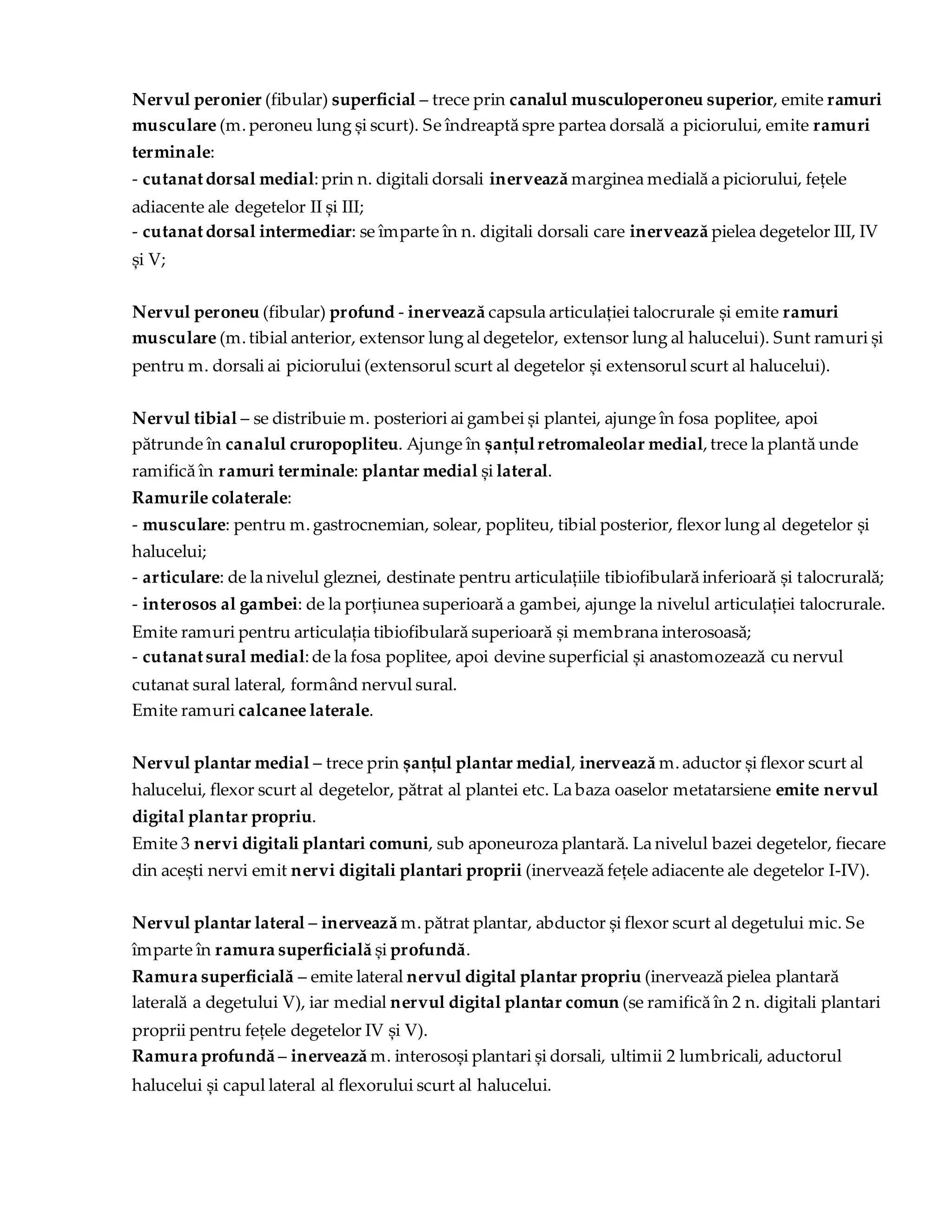 Anatomie: plexul sacral | DOCX