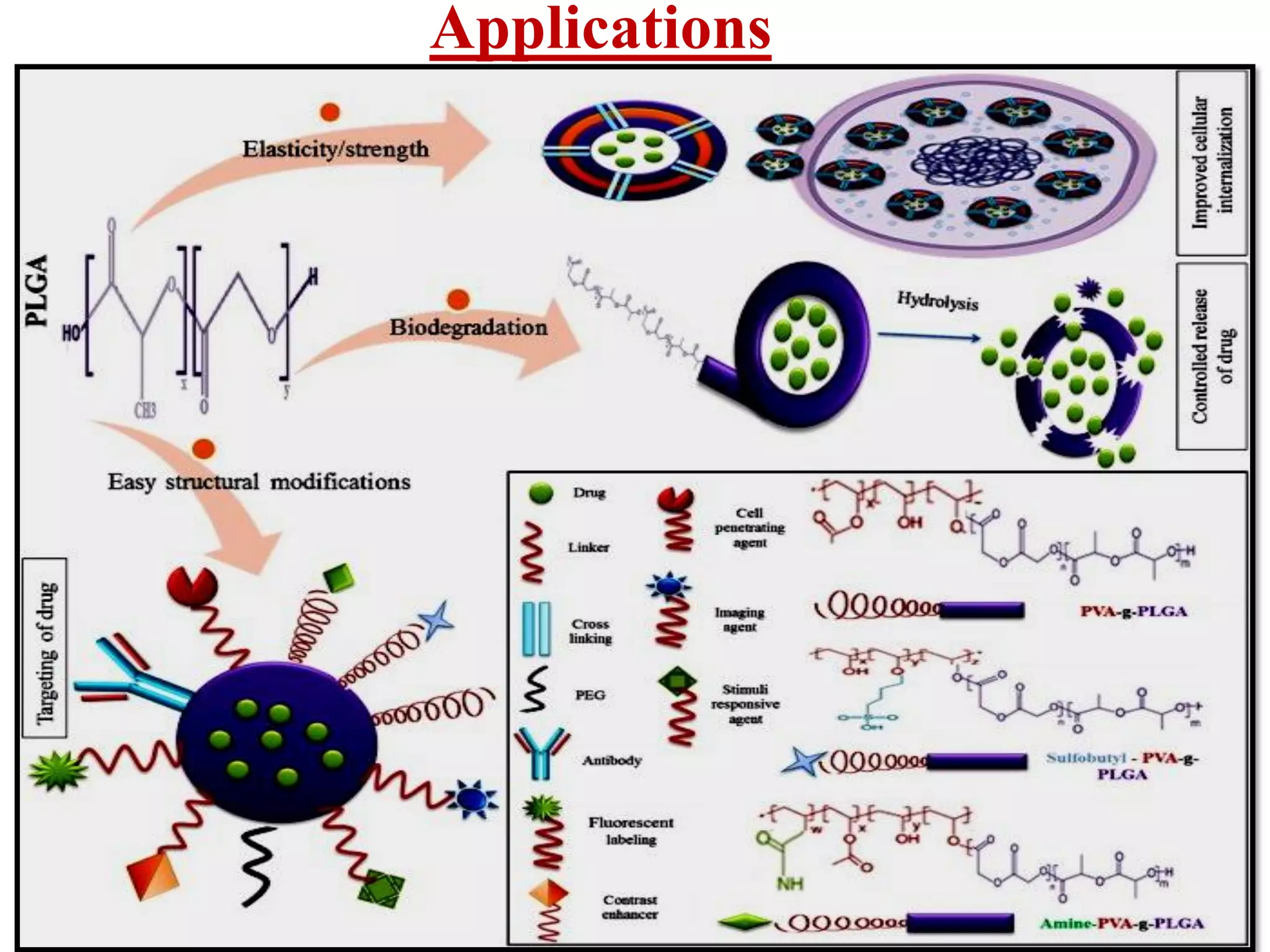 PLGA-An Biodegradable Polymer | PDF