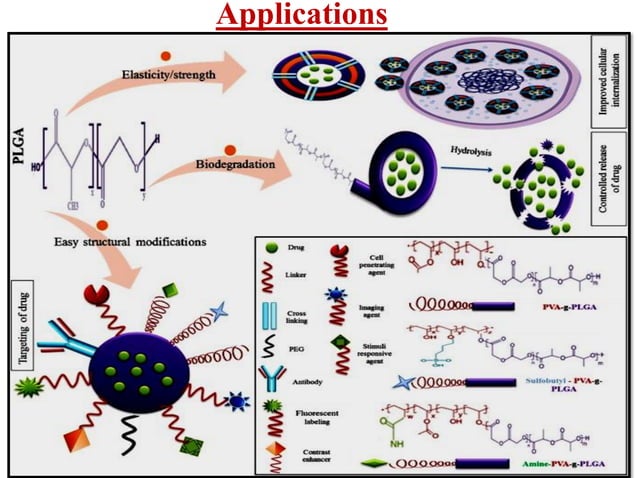 PLGA-An Biodegradable Polymer | PDF | Chemistry | Science