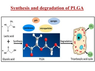 PLGA-An Biodegradable Polymer | PDF