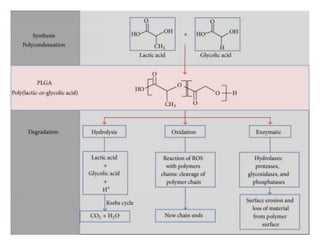 PLGA-An Biodegradable Polymer | PDF