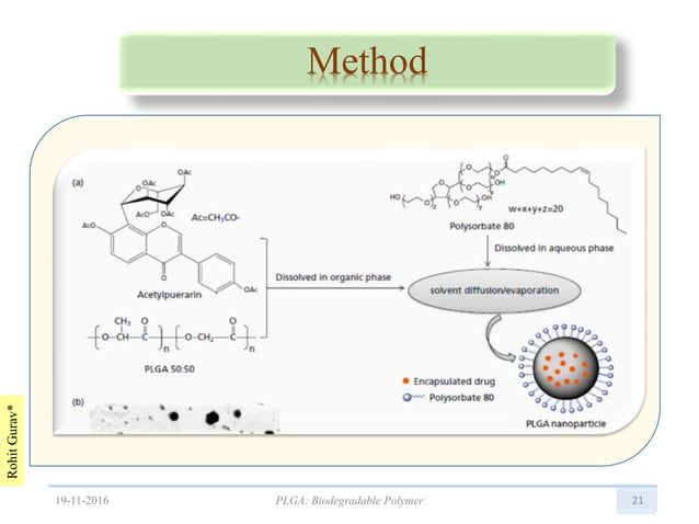 PLGA: an biodegradable polymer | PPTX | Chemistry | Science