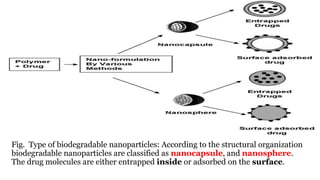 PLGA Role in Biopharmaceutics | PPTX