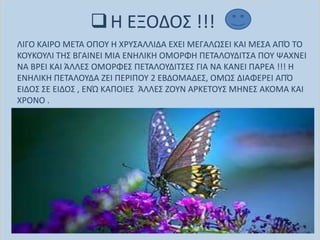 Plhroforikh | PPTX