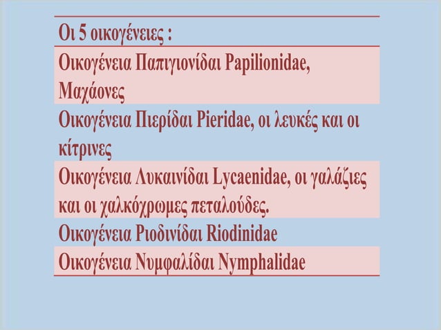 Plhroforikh | PPT