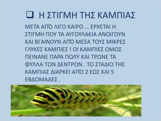 Plhroforikh | PPTX