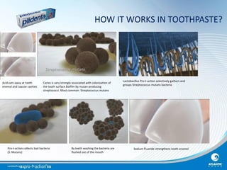 Plidenta pro t-action toothpaste presentation | PPT