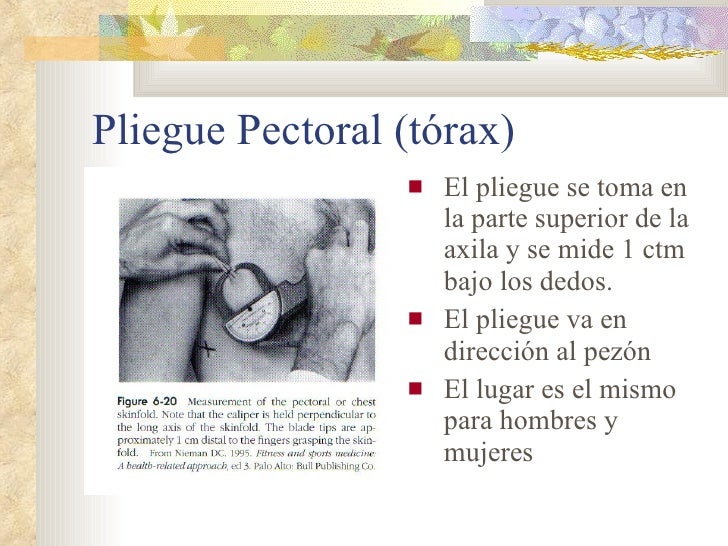 Pliegues