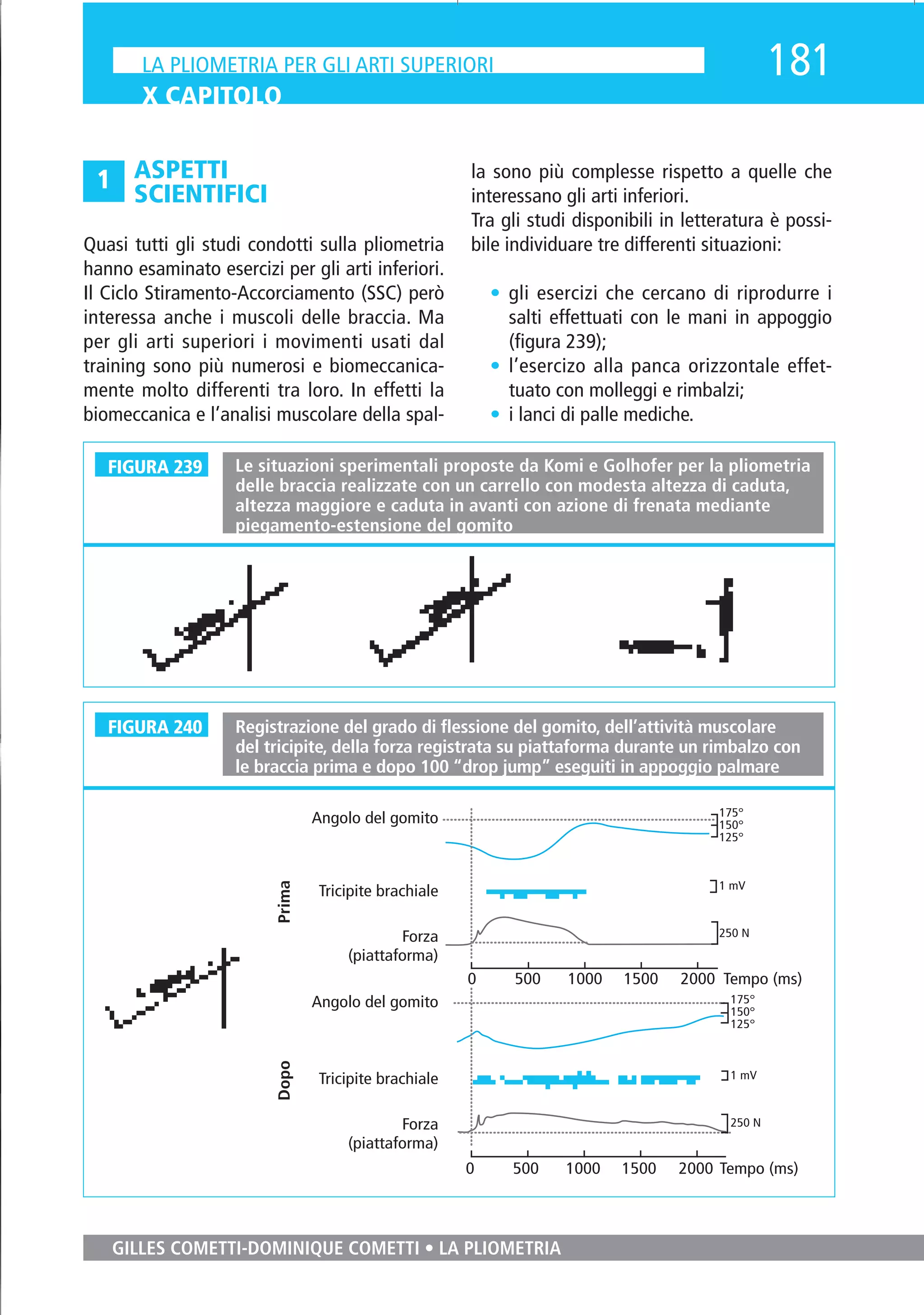 Pliometria cometti | PDF