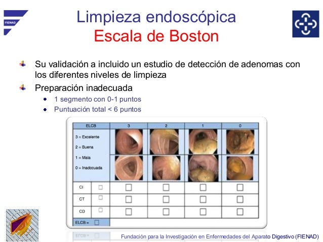 Vigilancia endoscópica de pólipos colónicos