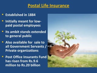 Pli Presntation | PPT | Life Insurance | Insurance