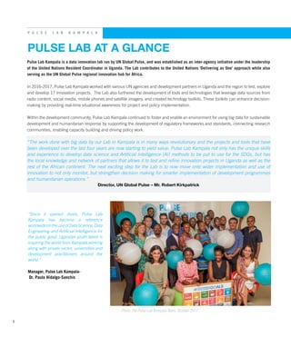 Pulse Lab Kampala Progress Report 2016/2017 | PDF