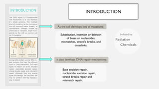DNA REPAIR MECHANISMS - Plegable Biología Molecular | PPT | Cancer ...