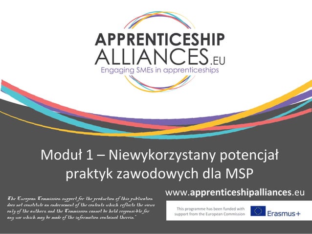 PL- Module 1- Niewykorzstany potencjal praktyk zawodowych dla MSP | PPT