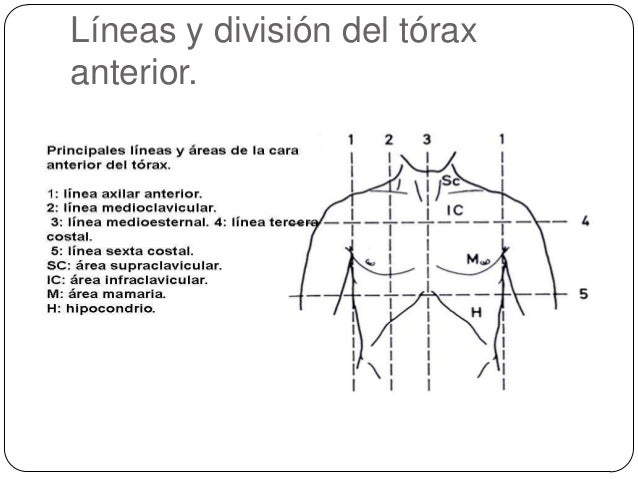 MI GRAN BLOGS: SEMIOLOGIA QUIRURGICA 2DO PARCIAL - UTESA 2015
