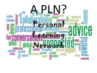 PLN Rachel Crowe | PPT
