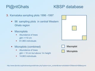 Pl@ntghats IFP | PDF