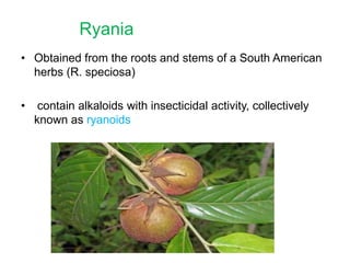 Botanical Insecticides and their Future Perspectives | PPT