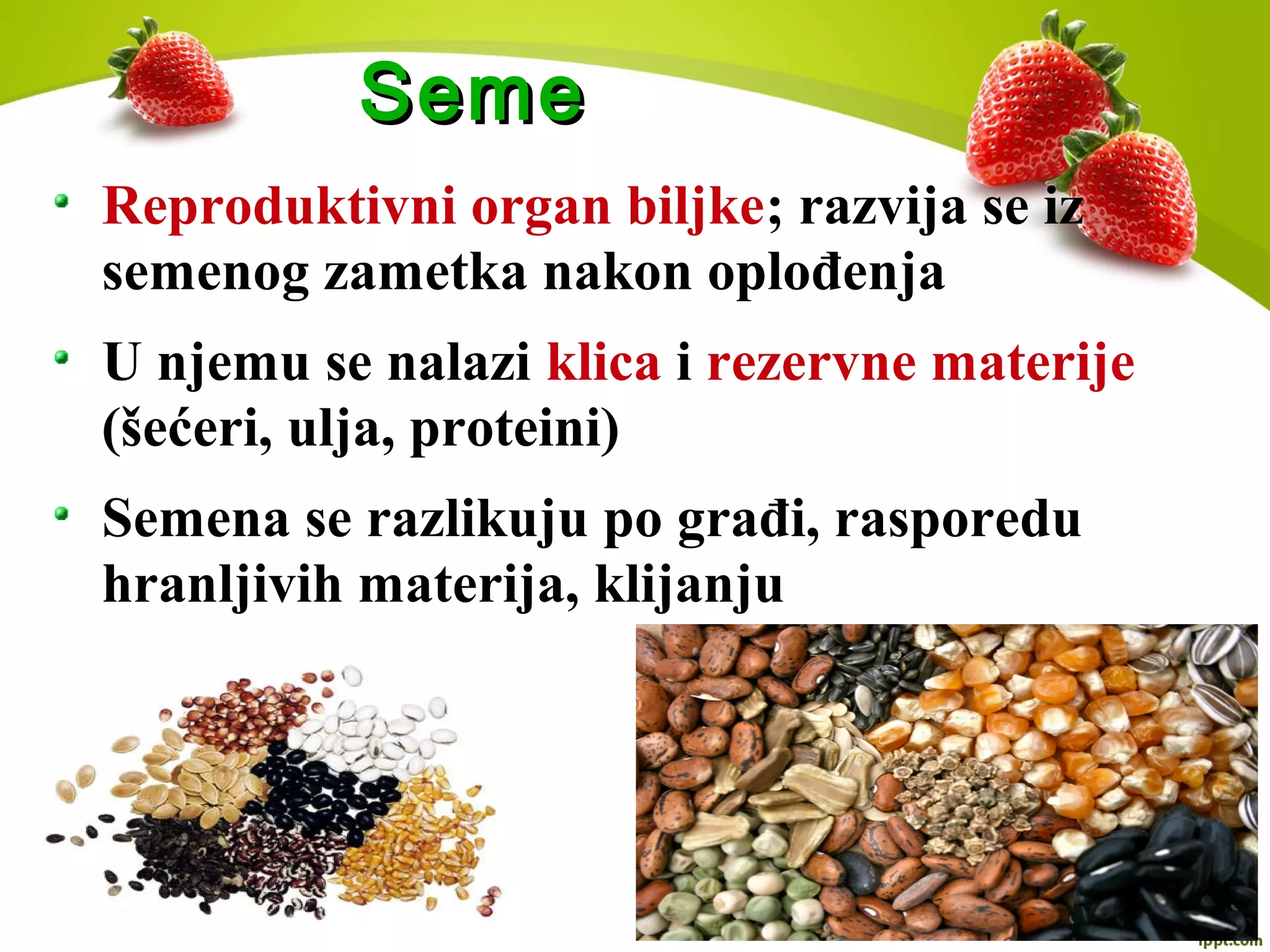 Plod i seme | PPT