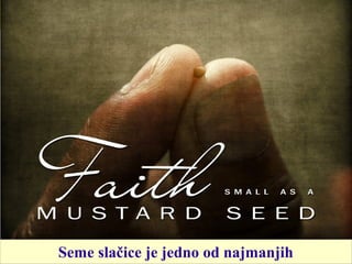 Plod i seme | PPT