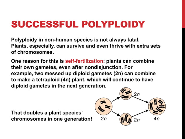 Nondisjunction and Polyploidy | PPTX