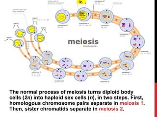 Nondisjunction and Polyploidy | PPTX