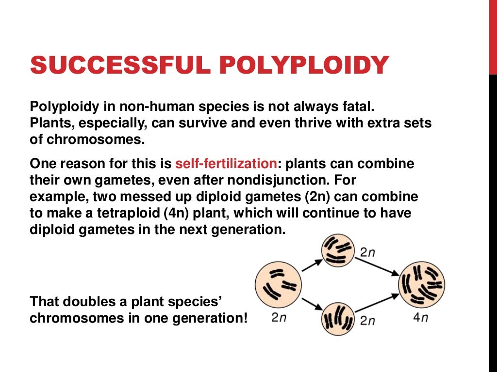 Polyploidy