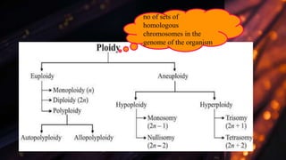 ploidy | PPTX