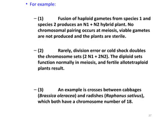 Ploidy presentation | PPT