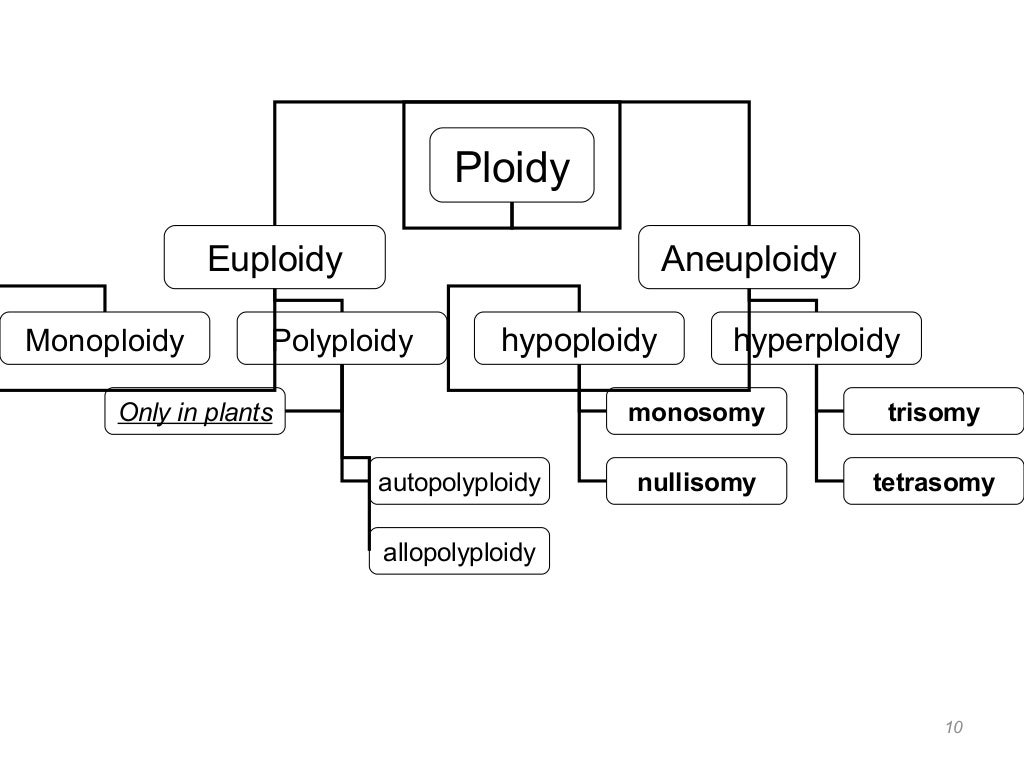 Ploidy presentation