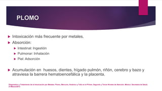 Intoxicación por Plomo y Mercurio | PPTX