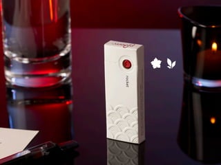 Ploom: Visual Design | PDF