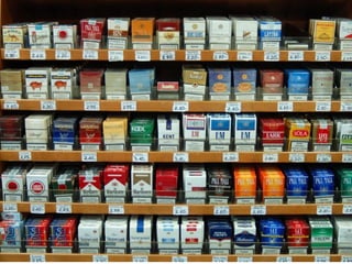 Ploom: Visual Design | PDF