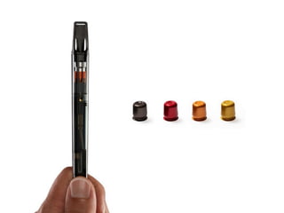 Ploom: Visual Design | PDF