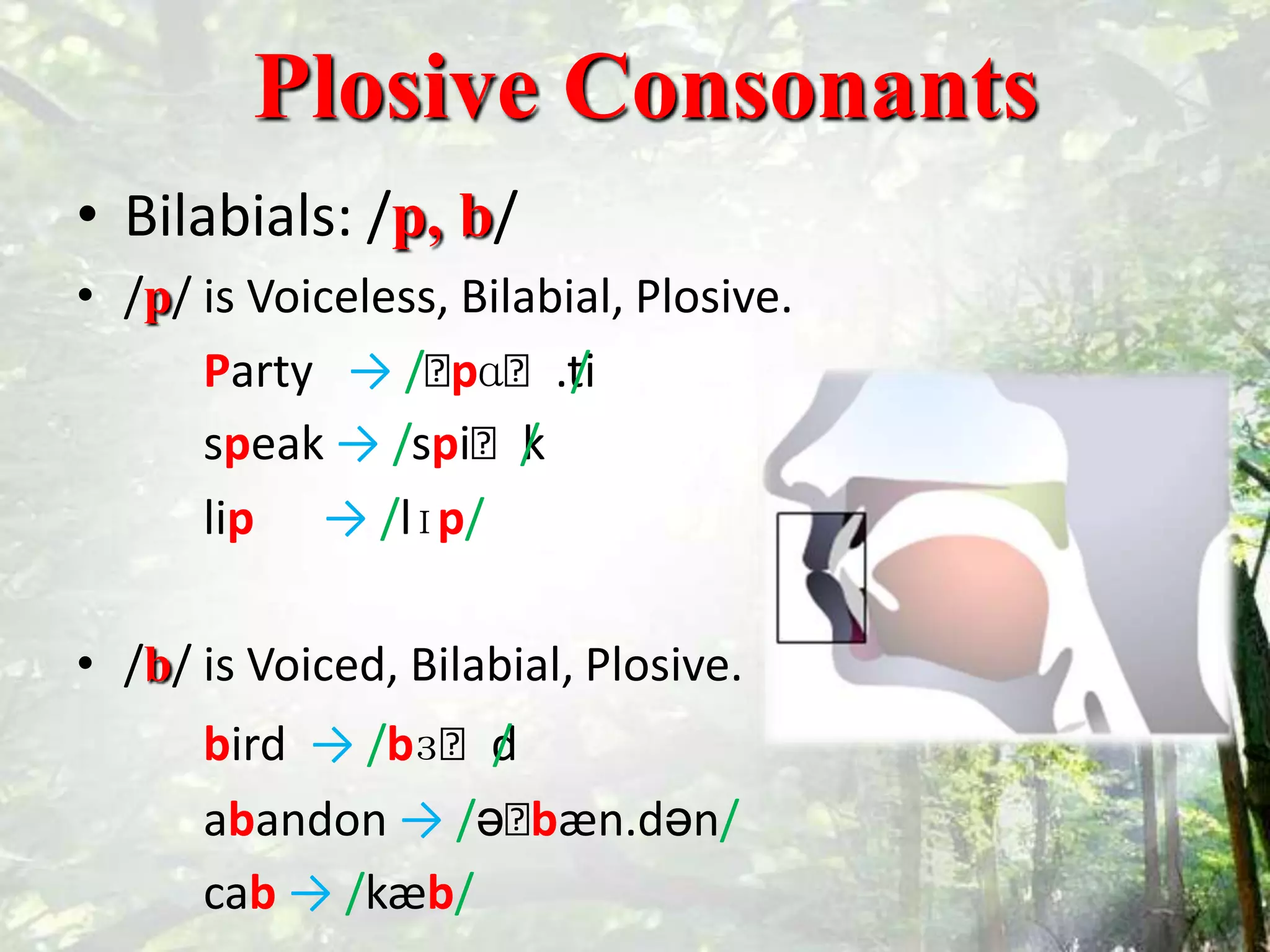 Plosives | PPTX
