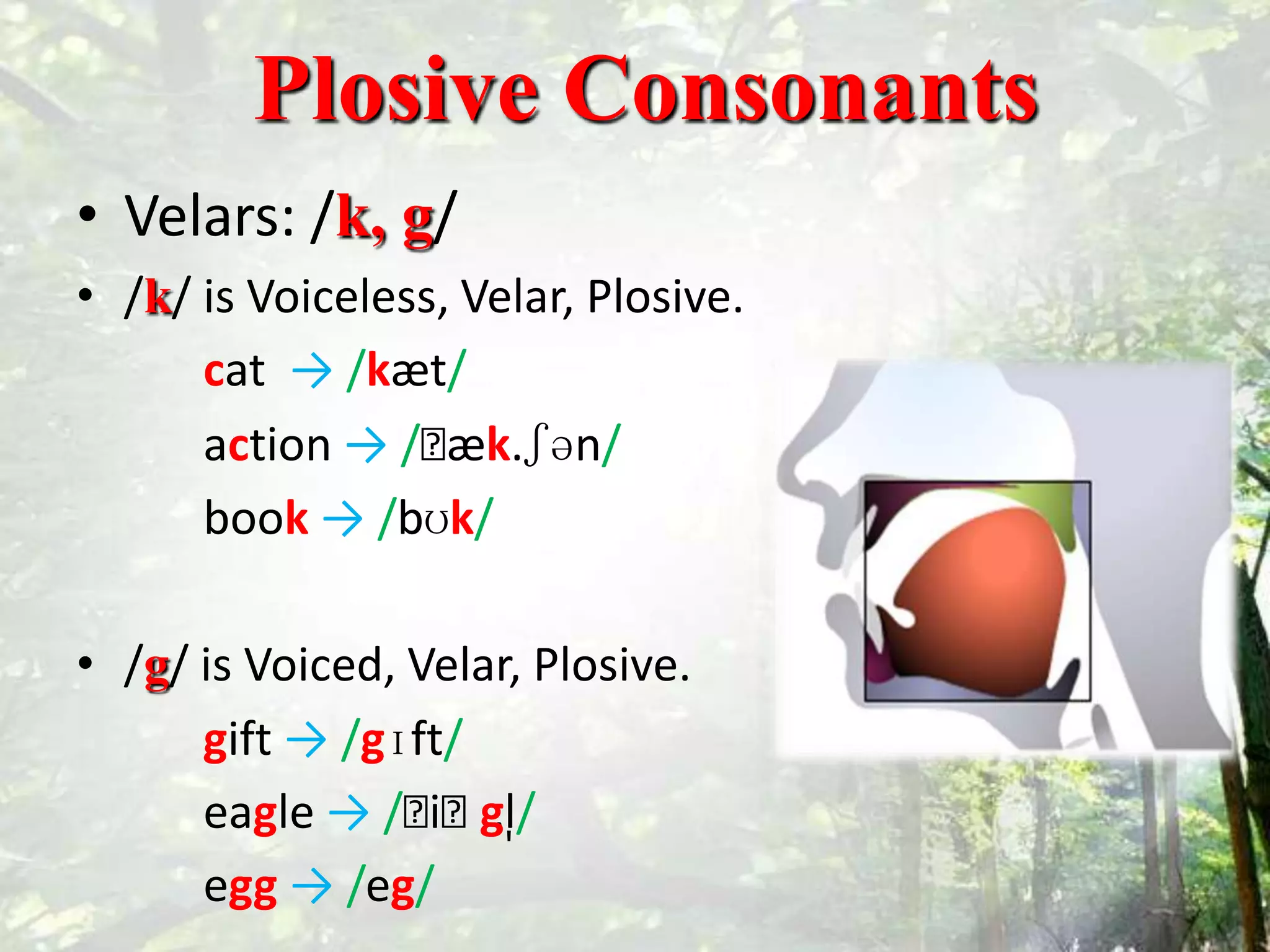 Plosives | PPTX
