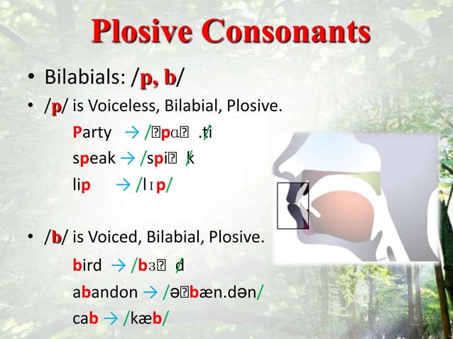 Plosives | PPTX