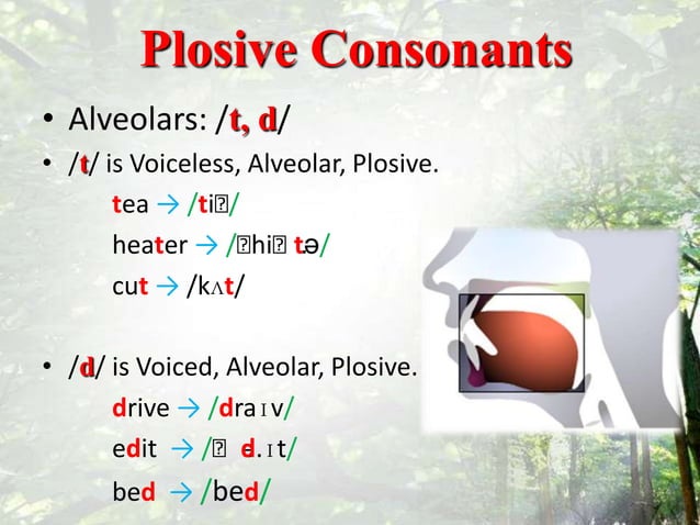 Plosives | PPTX