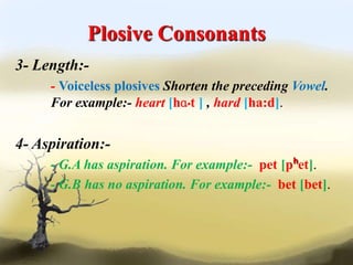 Plosives | PPTX