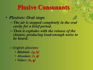 Plosives | PPT