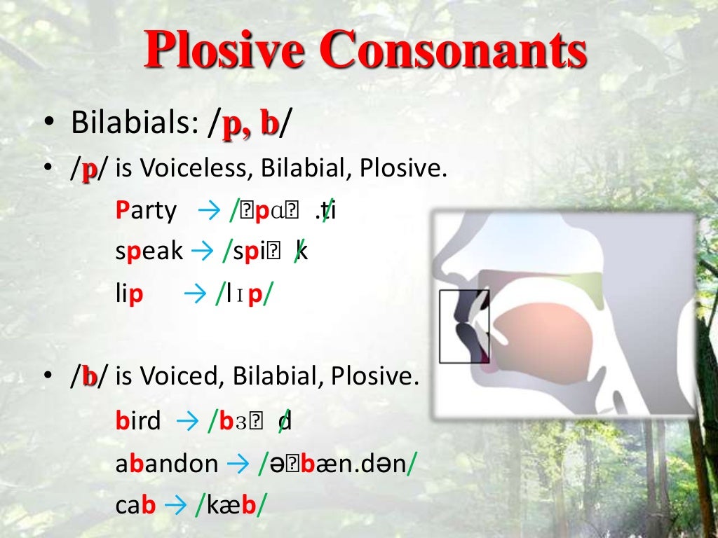 Plosives